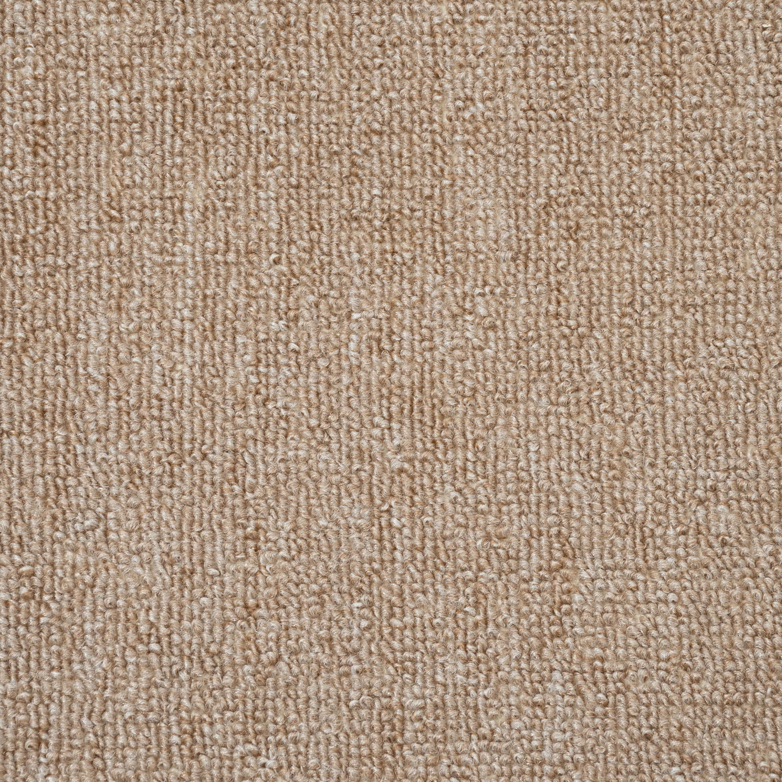 Suede Dundee Loop Carpet – More For Your Floor UK