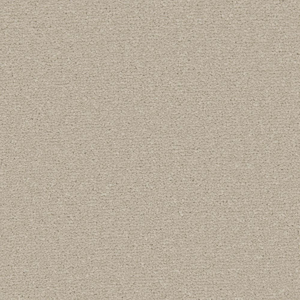 Pebblestone Apollo Plus Carpet | More For Your Floor – More For Your ...