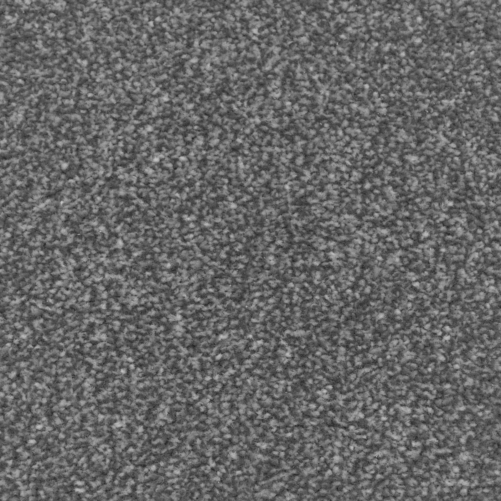 Cinder Grey Apollo Plus Carpet | More For Your Floor – More For Your ...