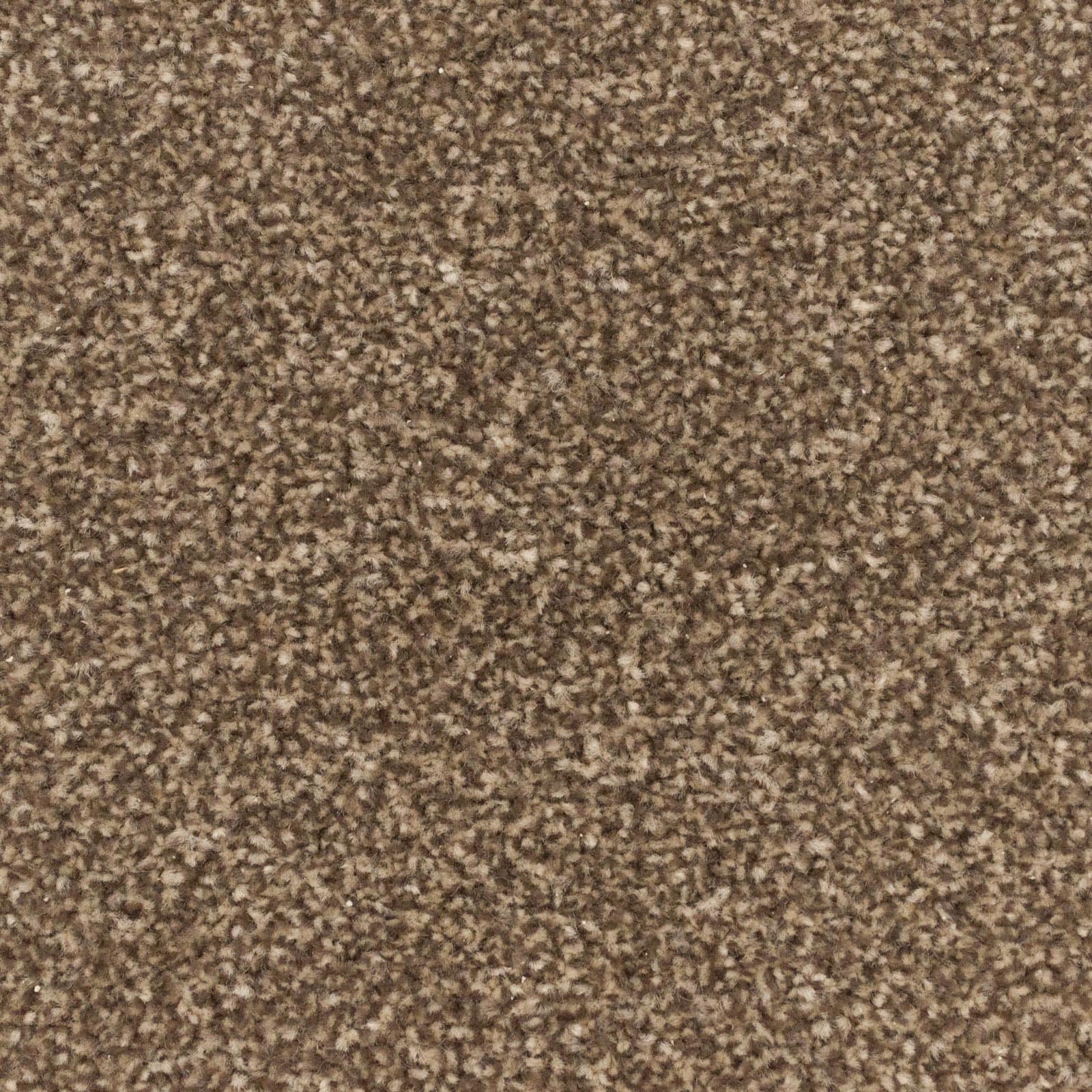 Cork Oak Apollo Plus Carpet | More For Your Floor – More For Your Floor UK