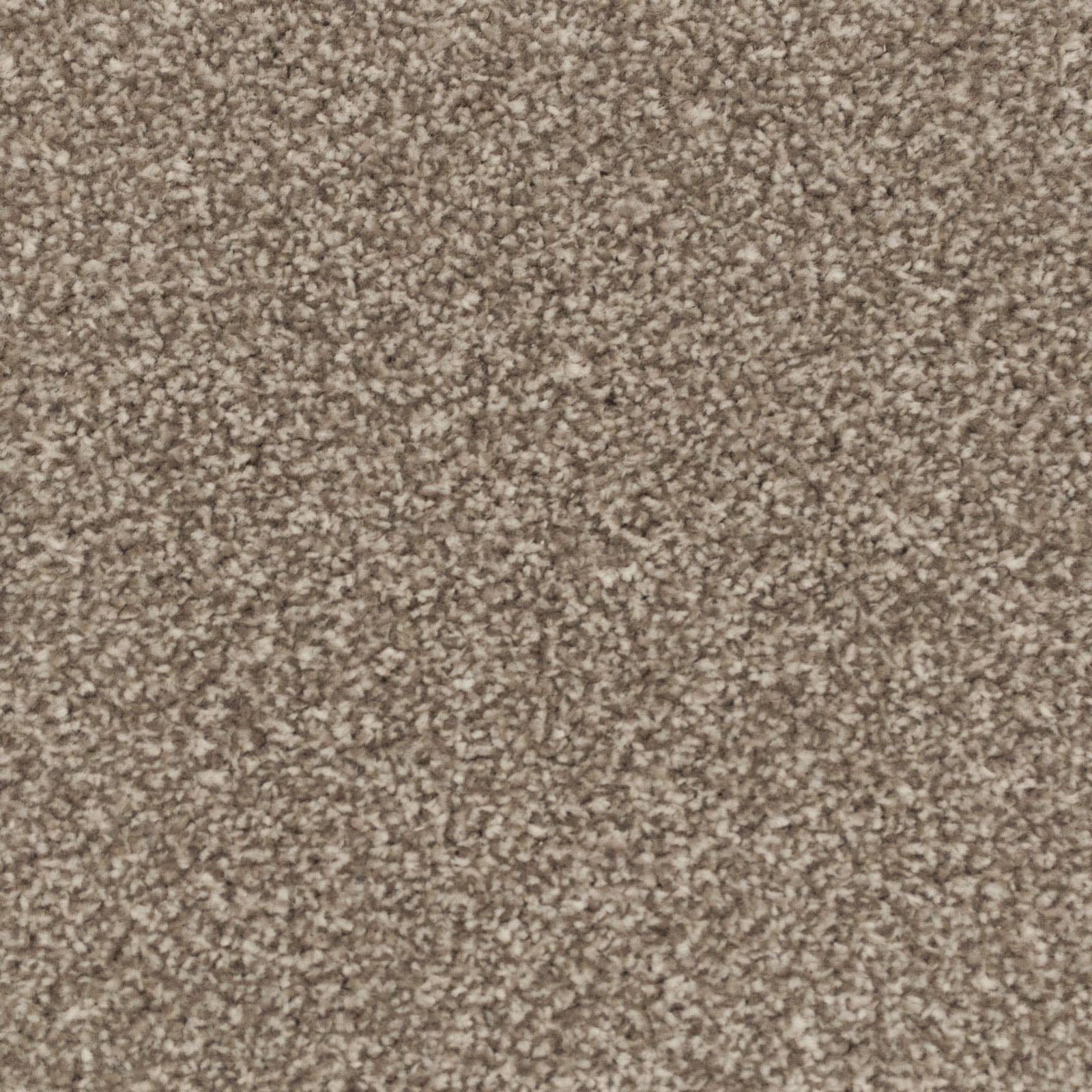 Manhattan Taupe Apollo Plus Carpet | More For Your Floor – More For ...