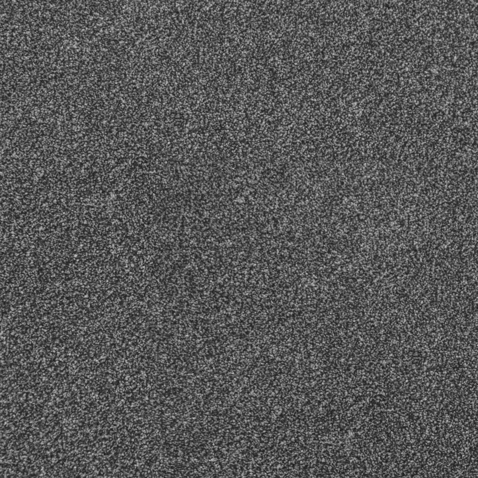 Raven Primo Ultra Carpet – More For Your Floor UK