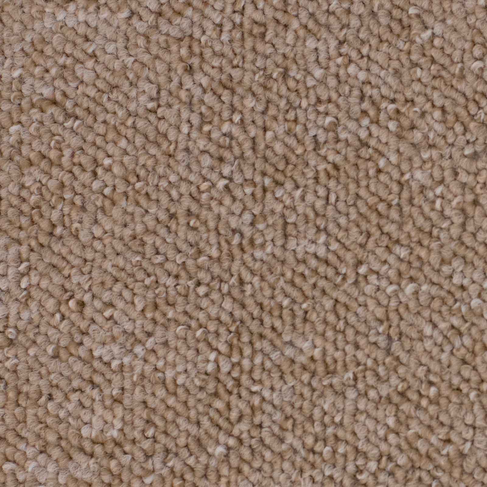 Beige Vegas Loop Carpet – More For Your Floor UK