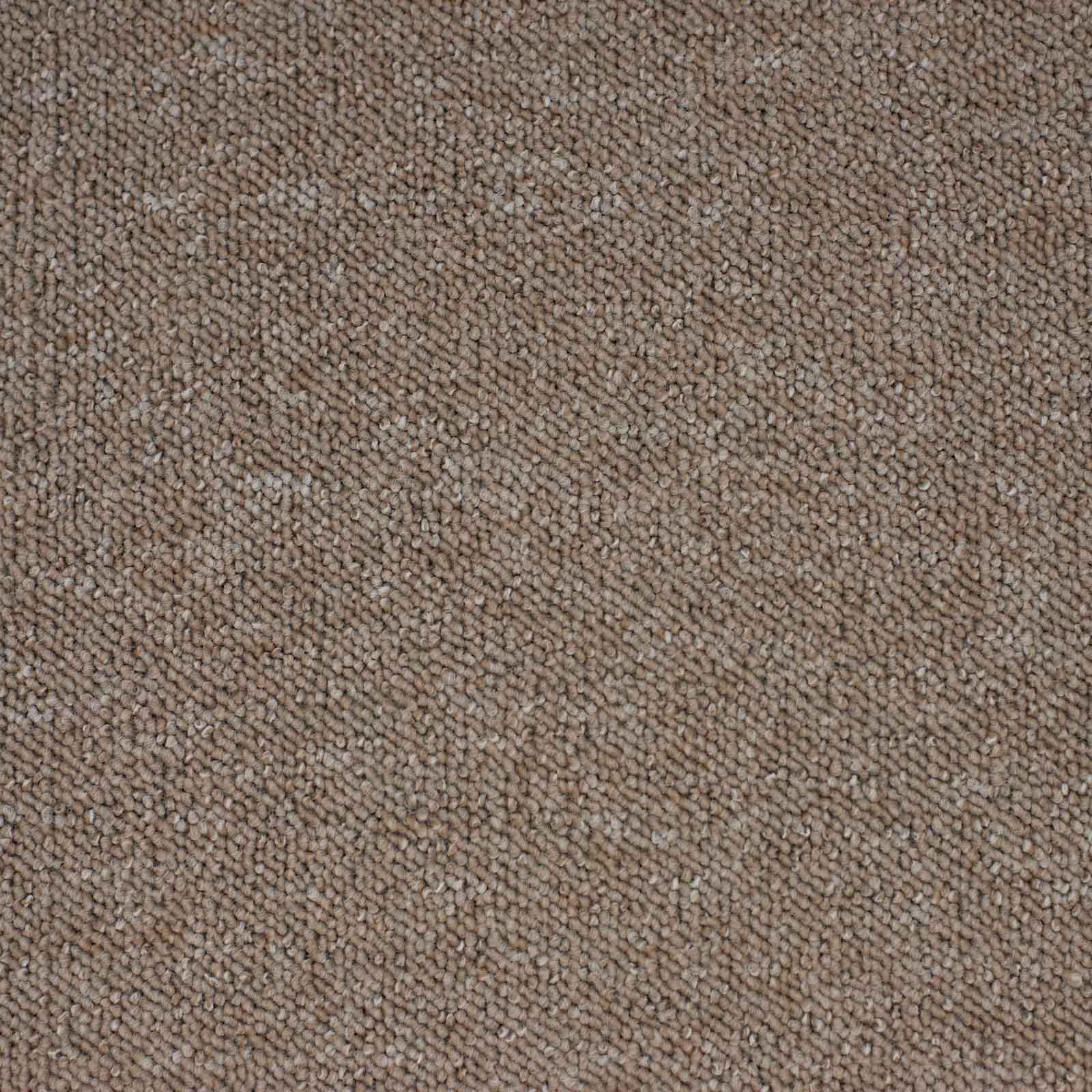 Dark Beige Vegas Loop Carpet – More For Your Floor UK