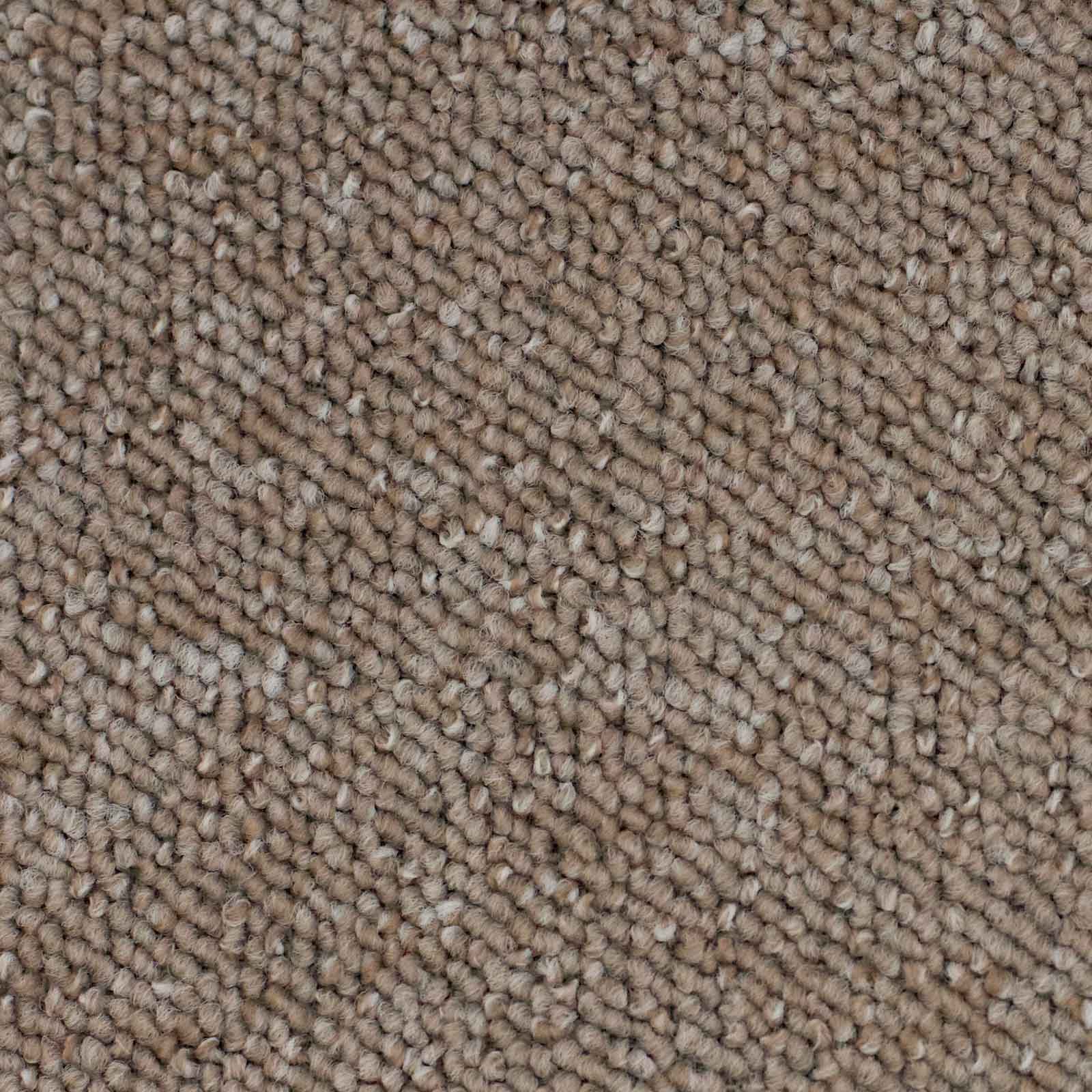 Dark Beige Vegas Loop Carpet – More For Your Floor UK