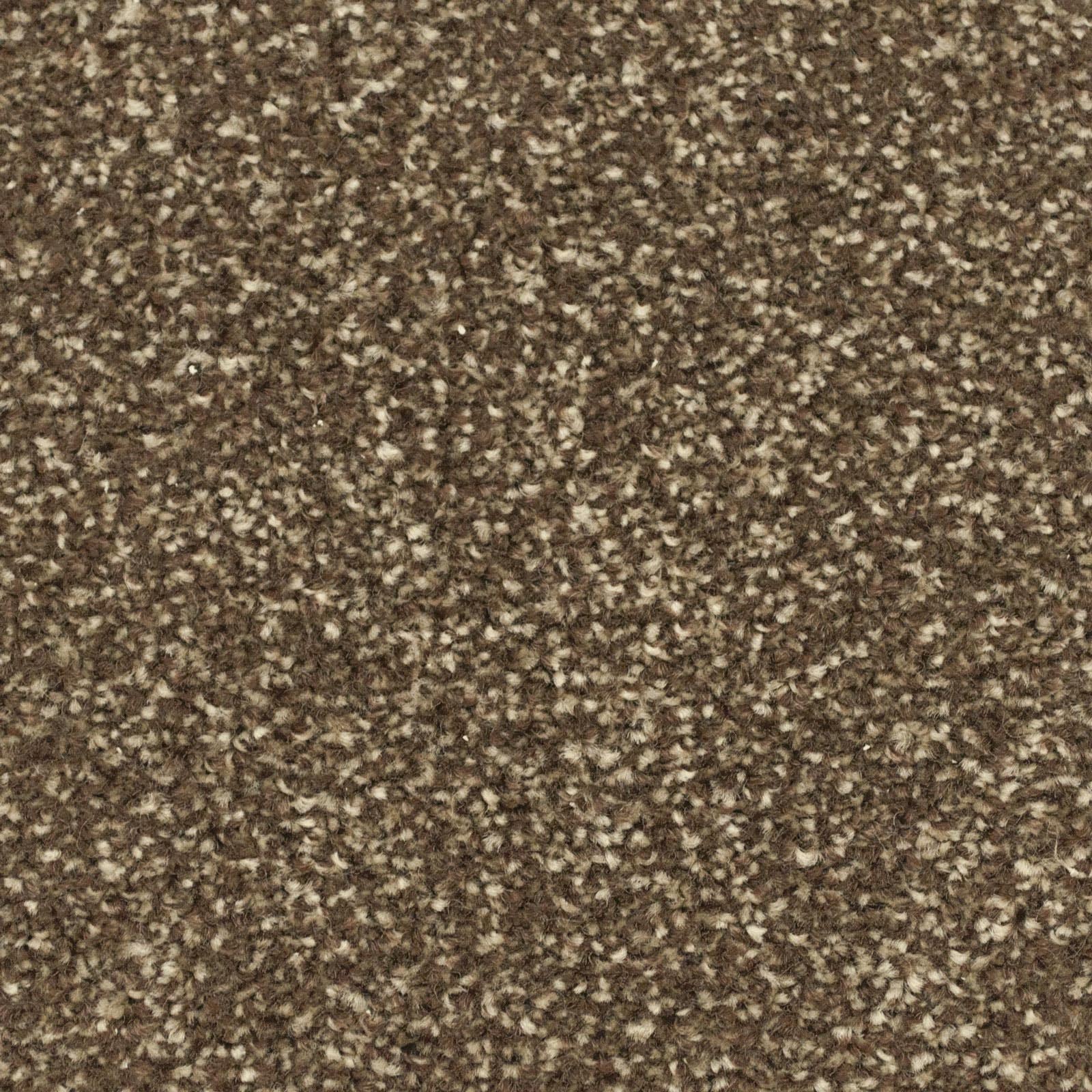 Mahogany Apollo Plus Carpet | More For Your Floor – More For Your Floor UK