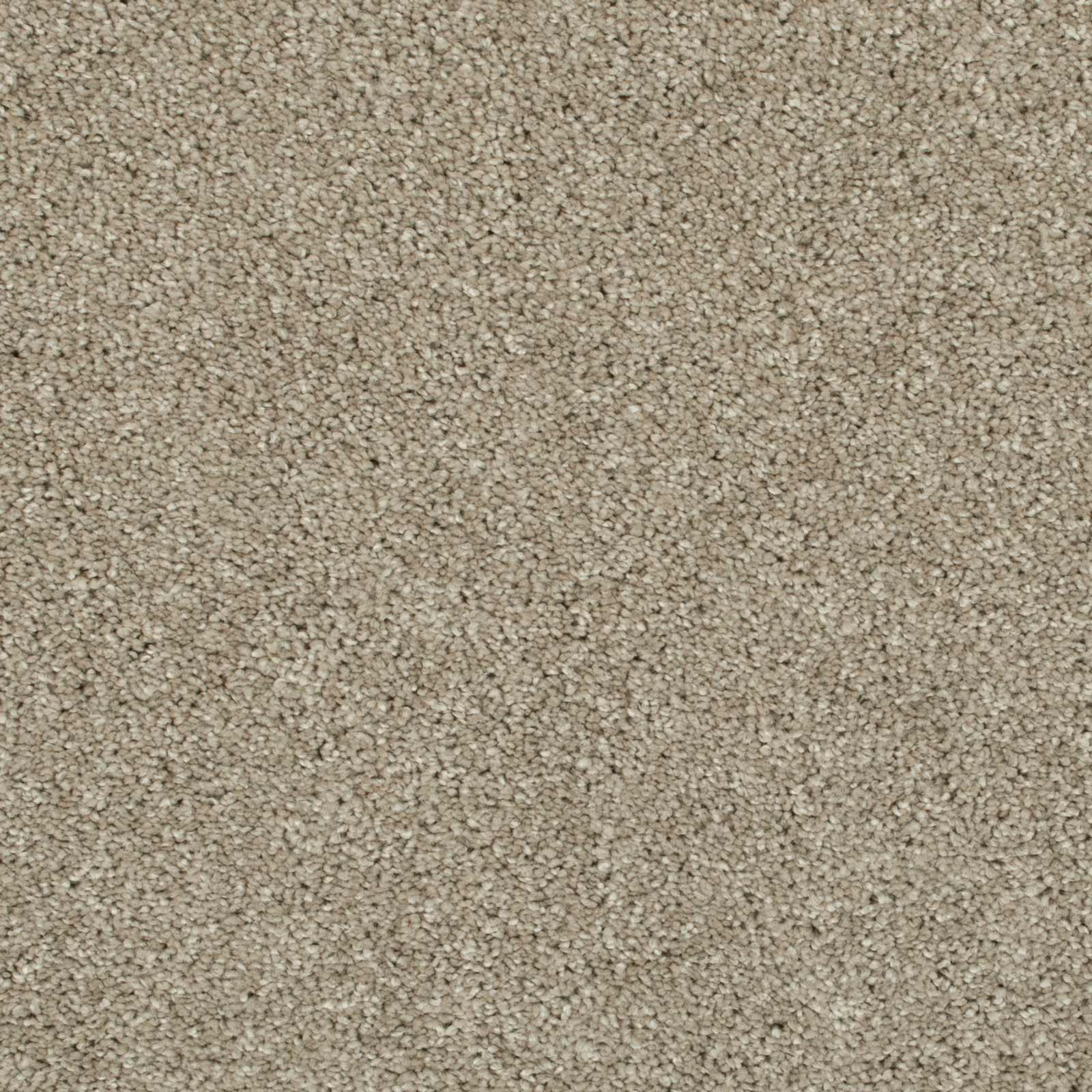 Pasmina 05 Lasting Romance Love Story Carpet – More For Your Floor UK