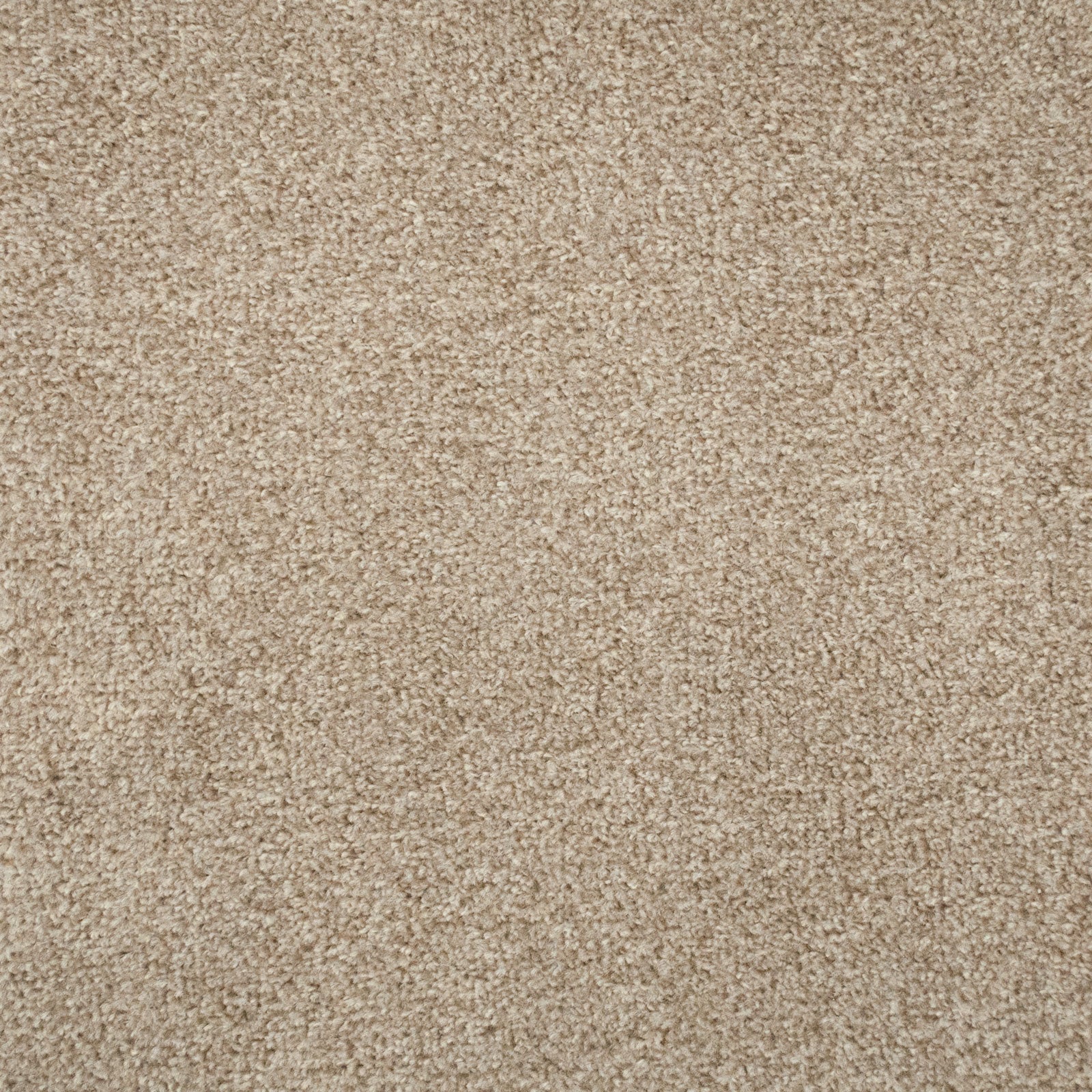 Warm Beige Liberty Heathers Twist Carpet – More For Your Floor UK